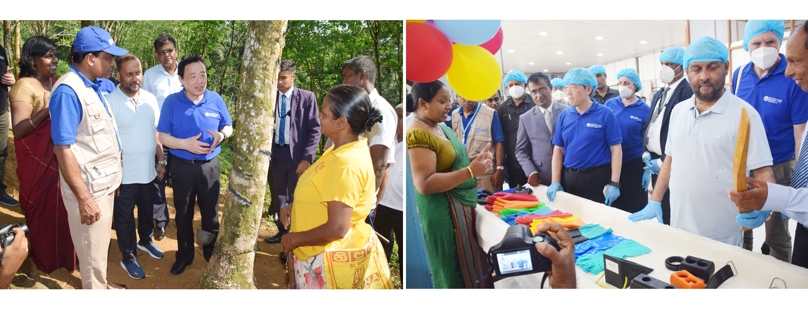 Rubber Reaserch Institute of Sri Lanka