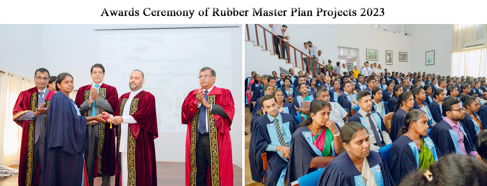 Rubber Reaserch Institute of Sri Lanka