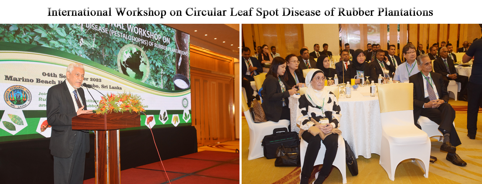 Rubber Reaserch Institute of Sri Lanka