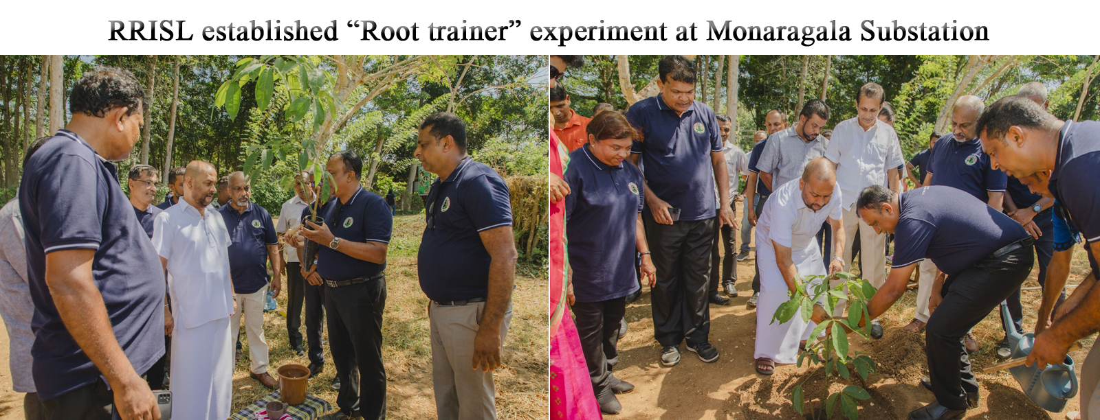 Rubber Reaserch Institute of Sri Lanka