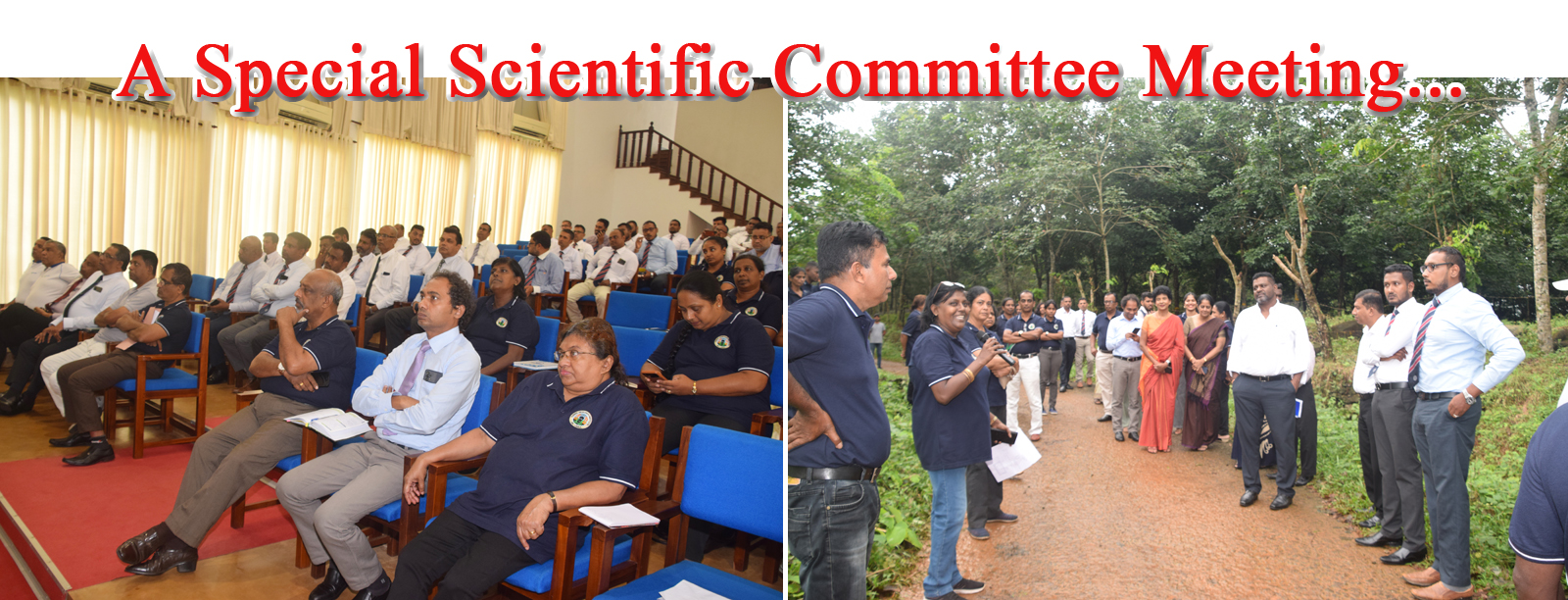 Rubber Reaserch Institute of Sri Lanka